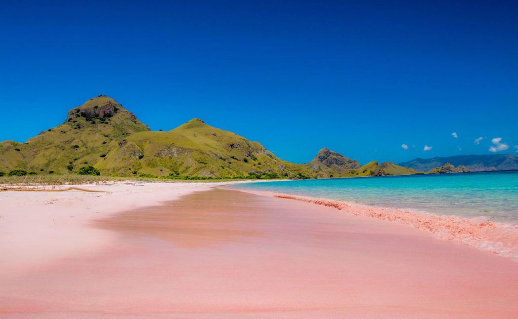 7 Amazing Pink Beaches in The World! - moco-choco
