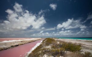 7 Amazing Pink Beaches in The World! - moco-choco
