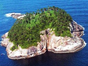 The Island You Will Never Visit-Ilha de Queimada Grande - moco-choco