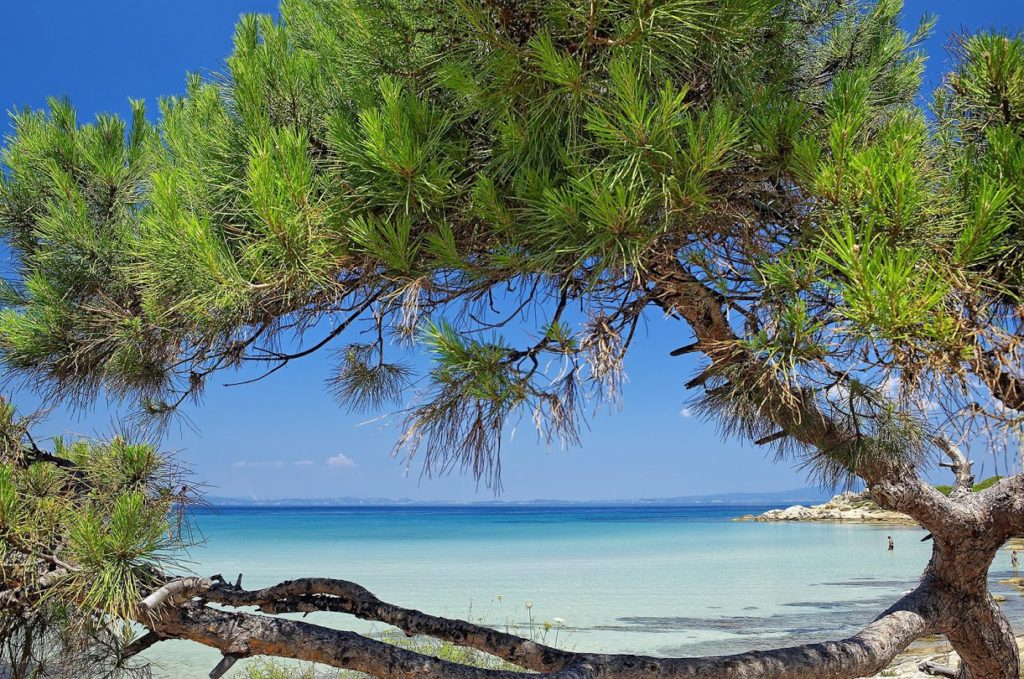 Paliouri Beach, Halkidiki-The Best Beach in Kassandra - moco-choco